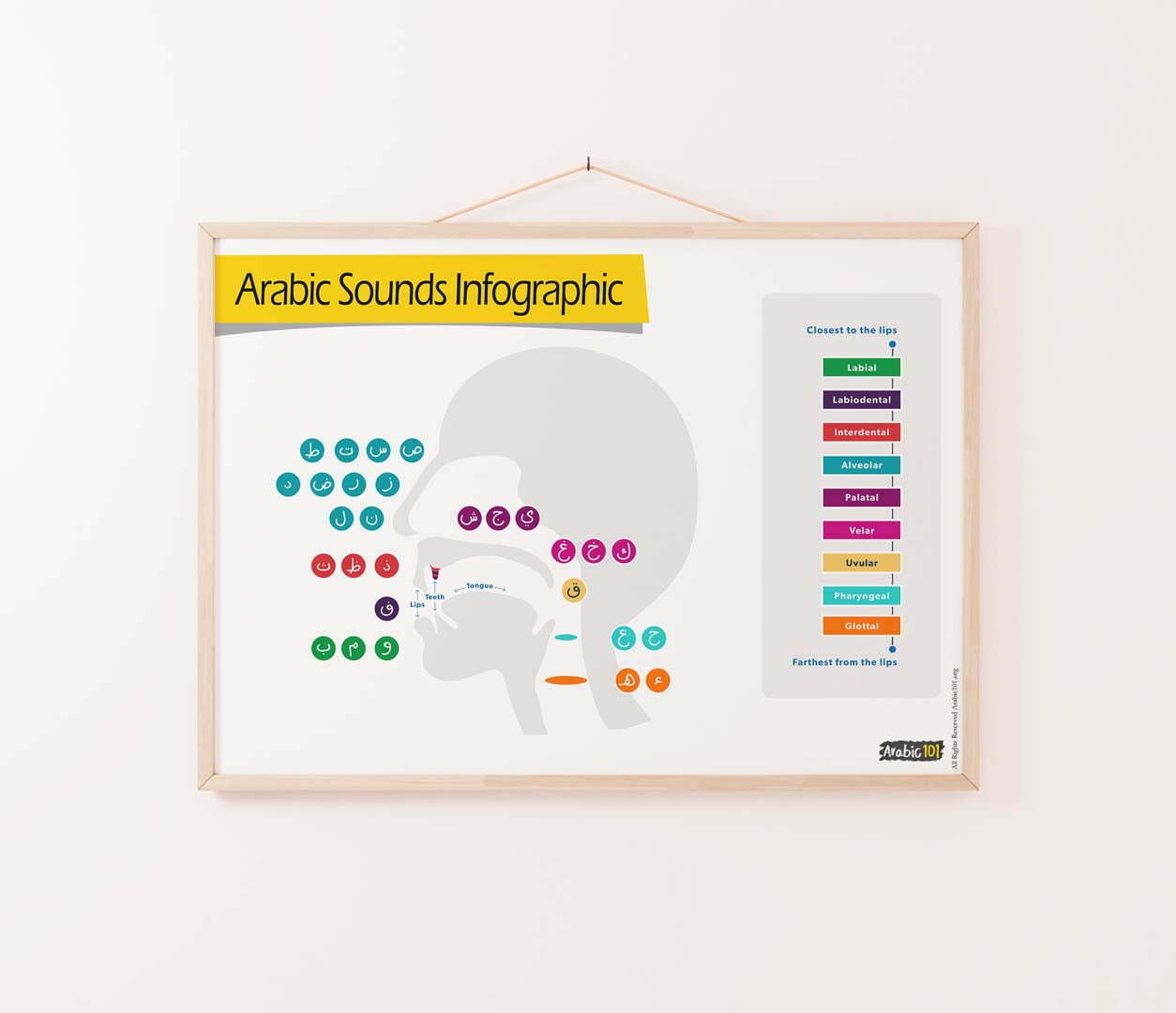 Arabic Letters Sound Articulation Poster - Arabic101 Store
