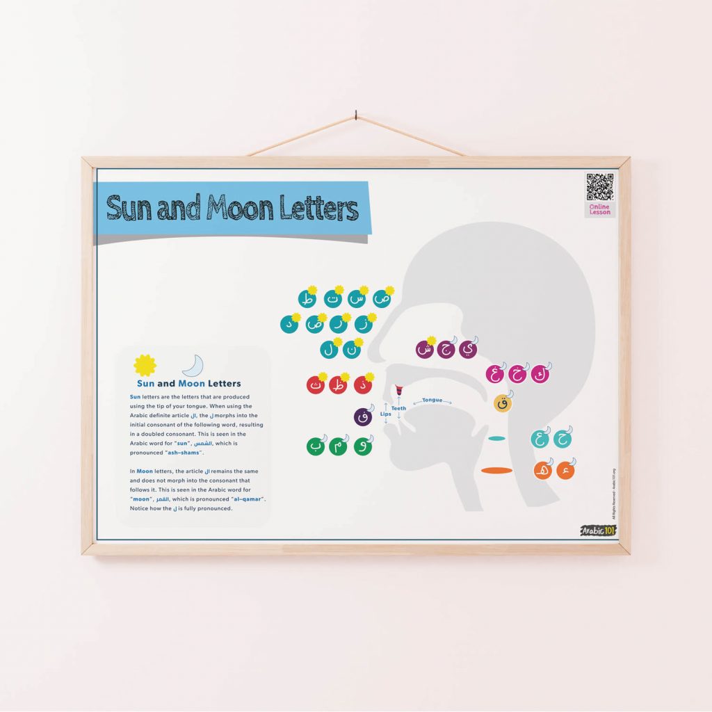 Sun and Moon Arabic Letters infographic Poster - Arabic101 Store
